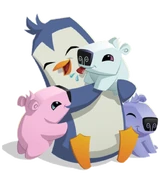 Penguin | Animal Jam Wiki | Fandom