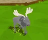 Moose | Animal Jam Wiki | Fandom