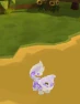Snow Leopard | Animal Jam Wiki | Fandom