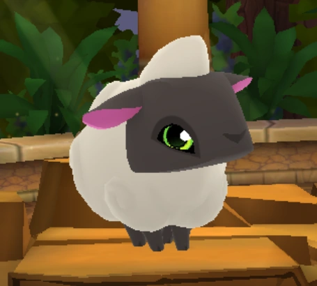 Sheep | Animal Jam Wiki | Fandom