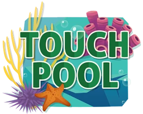 Touch Pool | Animal Jam Wiki | Fandom