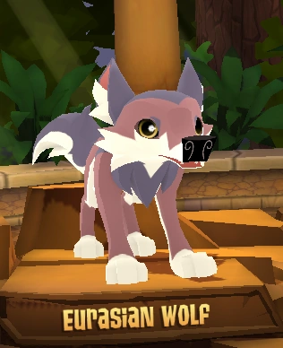 Eurasian Wolf | Animal Jam Wiki | Fandom