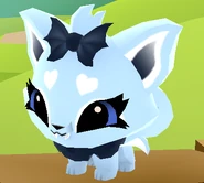 Count Fabulous (Cat) | Animal Jam Wiki | Fandom