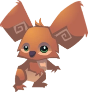 Koala | Animal Jam Wiki | Fandom