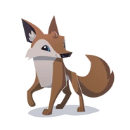 Coyote | Animal Jam Wiki | Fandom