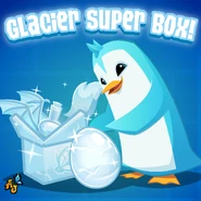 Penguin | Animal Jam Wiki | Fandom