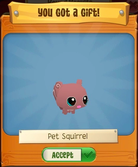 Pet Squirrel | Animal Jam Wiki | Fandom