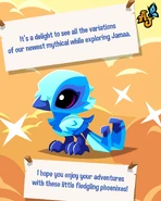 Pet Phoenix | Animal Jam Wiki | Fandom