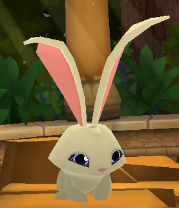 Bunny | Animal Jam Wiki | Fandom