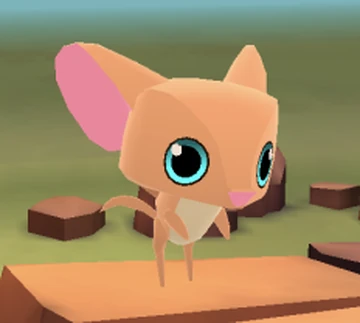 jerboa pet