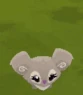 Koala | Animal Jam Wiki | Fandom