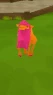 Camel | Animal Jam Wiki | Fandom