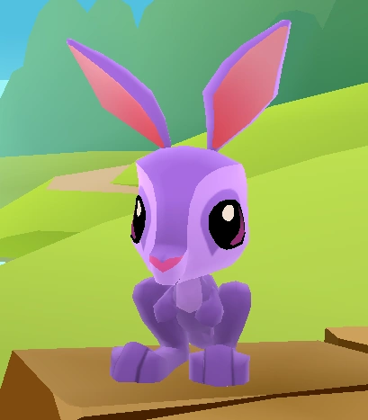Pet Kangaroo Joey | Animal Jam Wiki | Fandom
