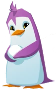 Penguin | Animal Jam Wiki | Fandom