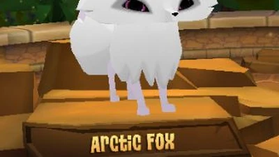how to draw arctic fox animal jam