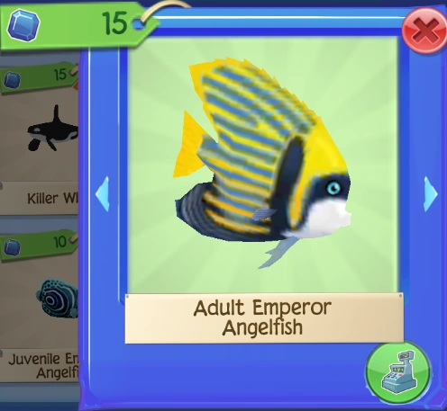 Adult Emperor Angelfish | Animal Jam Wiki | Fandom