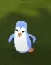 Penguin | Animal Jam Wiki | Fandom