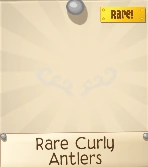 Curly Antlers/Rare | Animal Jam Wiki | Fandom