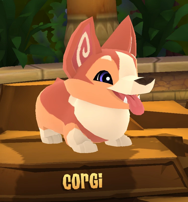 Corgi | Animal Jam Wiki | Fandom