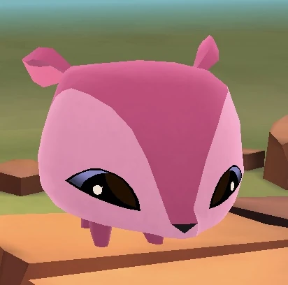 Pet Chipmunk | Animal Jam Wiki | Fandom