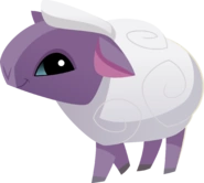Sheep | Animal Jam Wiki | Fandom