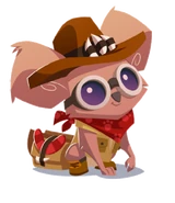 Koala | Animal Jam Wiki | Fandom
