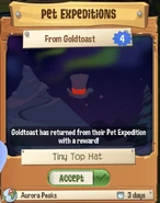 Tiny Top Hat | Animal Jam Wiki | Fandom