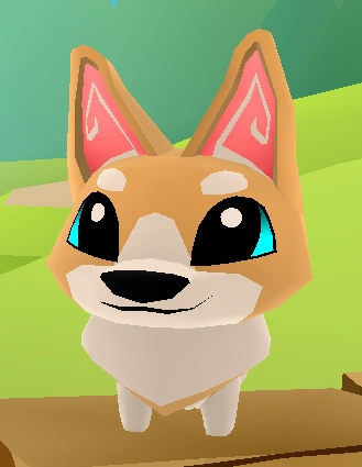 Pet Corgi | Animal Jam Wiki | Fandom