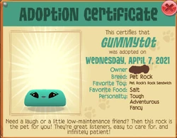 Pet Rock Certificate