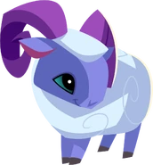 Sheep | Animal Jam Wiki | Fandom