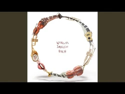 world's smallest sped up