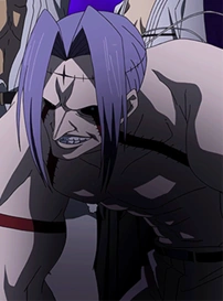 Ibara | Akame Ga Kill! Wiki | Fandom