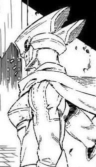 Invisibilidad | Akame Ga Kill! Wiki | Fandom