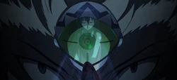 Future Sight | Akame Ga Kill! Wiki | Fandom