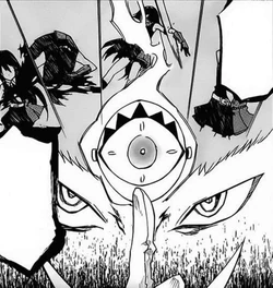 Future Sight | Akame Ga Kill! Wiki | Fandom