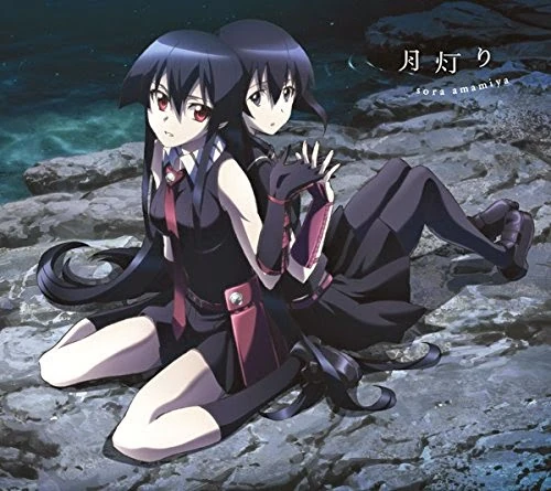 Tsuki Akari | Akame Ga Kill! Wiki | Fandom