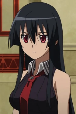 Akame | Akame Ga Kill! Wiki | Fandom
