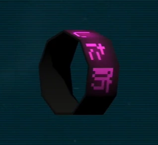 Stabilizer Bracelet | Akane Wiki | Fandom