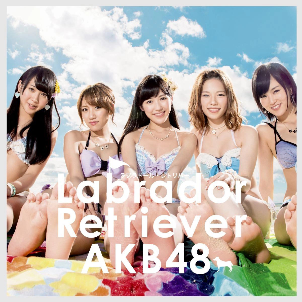 Labrador Retriever | AKB48 Fanmade Wiki | Fandom