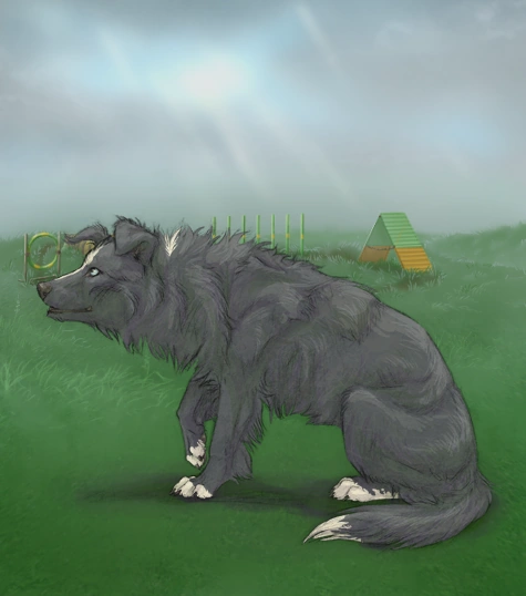 List of Markings and Colors | AlacritySim Wiki | Fandom