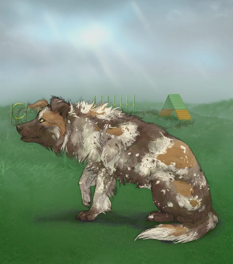 Australian Shepherd | AlacritySim Wiki | Fandom