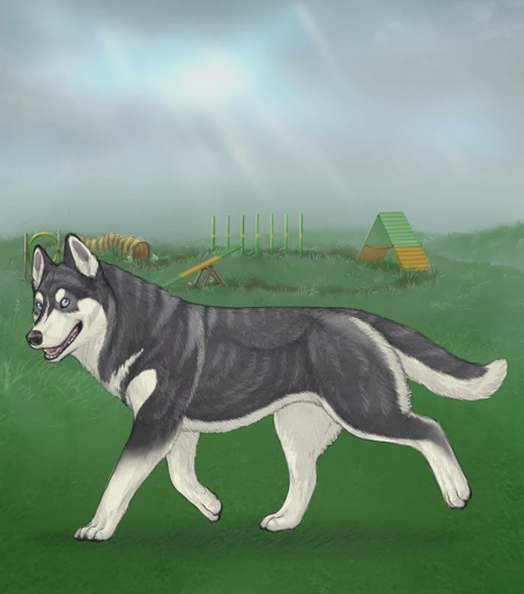 Siberian Huskies | Alacrity - A Virtual Dog Game Wiki | Fandom