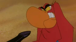 Aladdin Hates Crackers