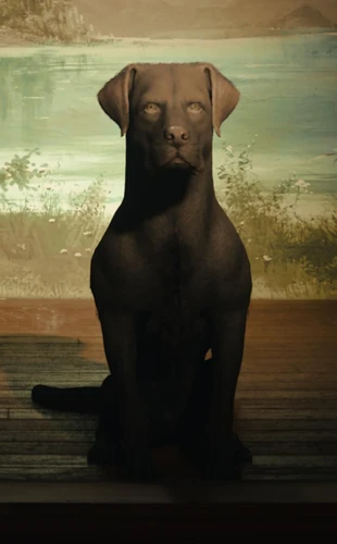 Mayor Setter | Alan Wake Wiki | Fandom