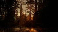 Alan Wake 2 | Alan Wake Wiki | Fandom