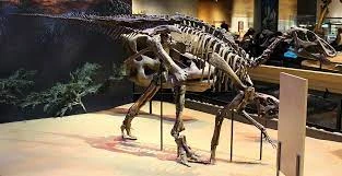 Ugrunaaluk | Alaskan Paleontology Wiki | Fandom