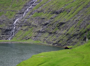 Frusti | Alastra Wiki | Fandom