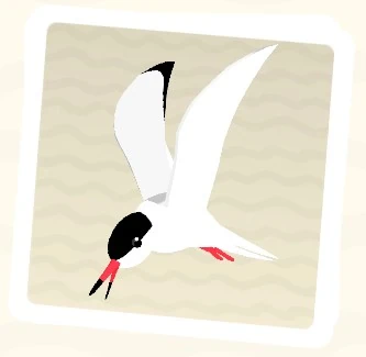 Common Tern | Alba: A Wildlife Adventure Wiki | Fandom