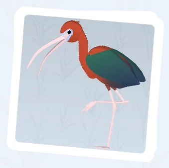 Glossy Ibis | Alba: A Wildlife Adventure Wiki | Fandom