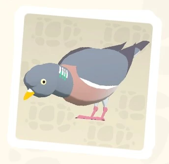 Common Wood Pigeon | Alba: A Wildlife Adventure Wiki | Fandom